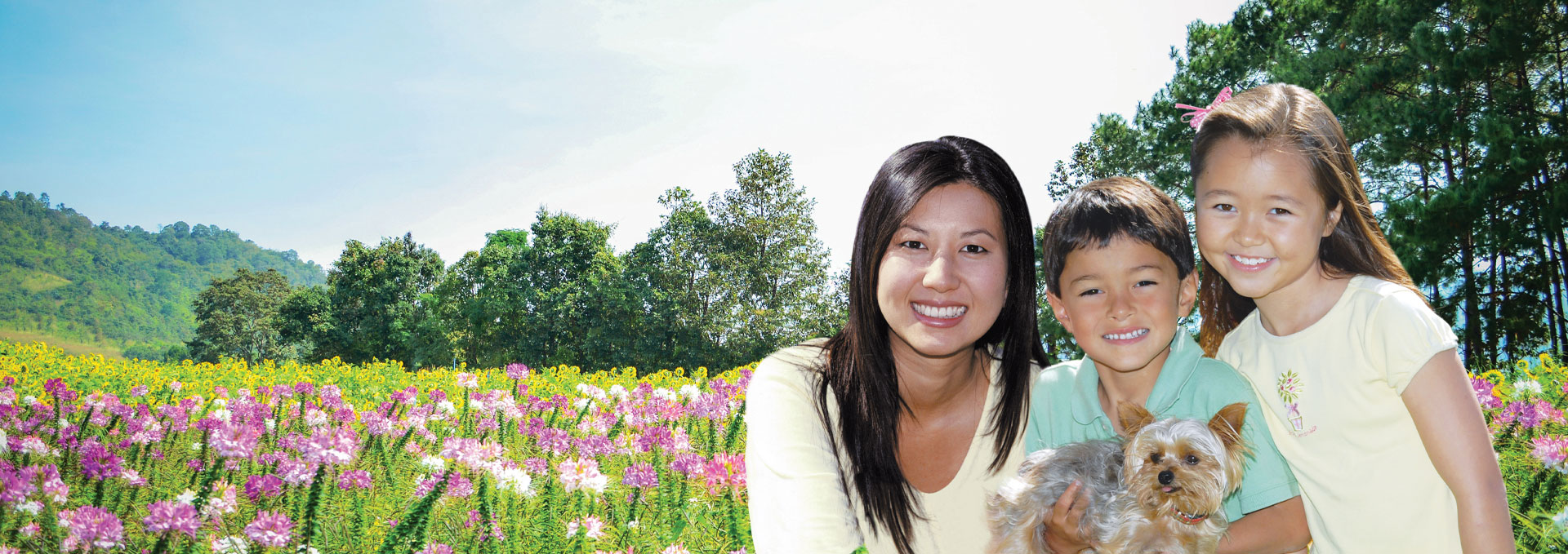 Guard Your Teeth | Bancroft Dental Care